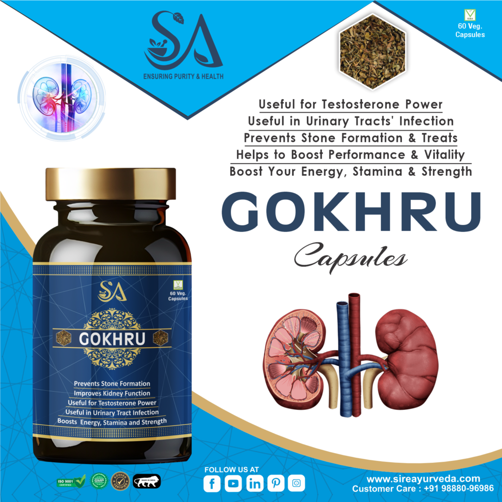 GOKHRU(Vitality Support, Immune Booster, Promotes Overall Health ...