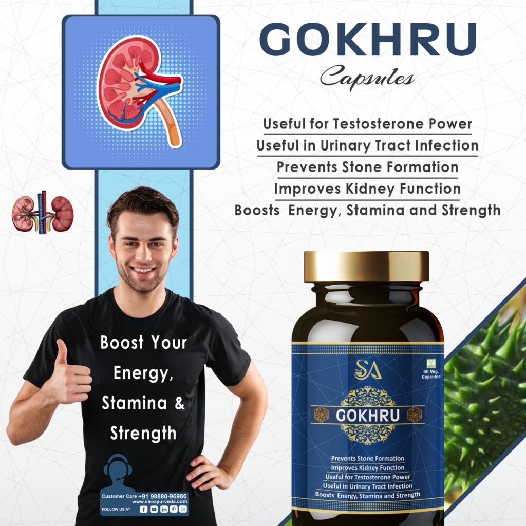 GOKHRU(Vitality Support, Immune Booster, Promotes Overall Health ...
